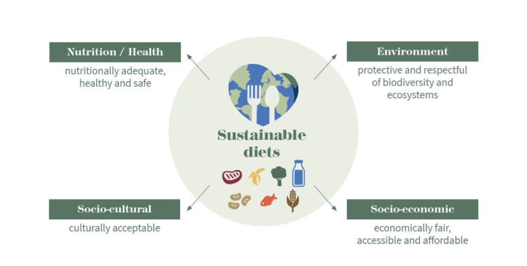 Healthy & Sustainable Diets – European Milk Forum